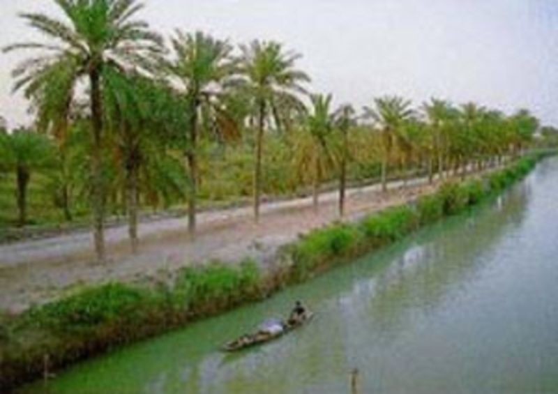 جزیره مینو آبادان: همه آنچه قبل از رفتن باید بدانید | لست سکند