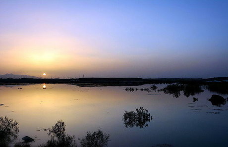 تالاب شهیدیه (شورک) میبد: همه آنچه قبل از رفتن باید بدانید | لست سکند