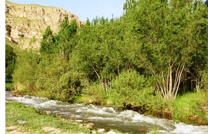 روستای گلدشت بروجرد: همه آنچه قبل از رفتن باید بدانید | لست سکند