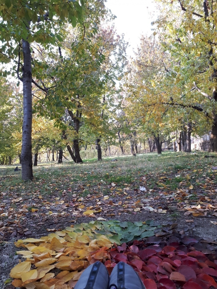 روستای افجه لواسان: همه آنچه قبل از رفتن باید بدانید | لست سکند